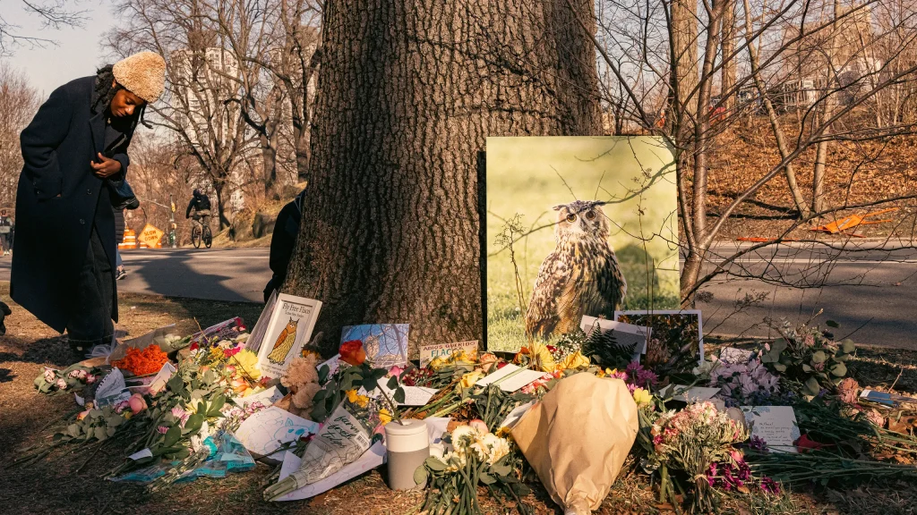 Iconic Owl Flaco, Known for Daring Escape, Dies One Year Later - Public