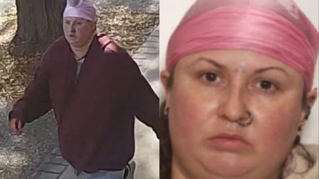 Canadian Woman Arrested as Serial Killer After Three Murders in ...