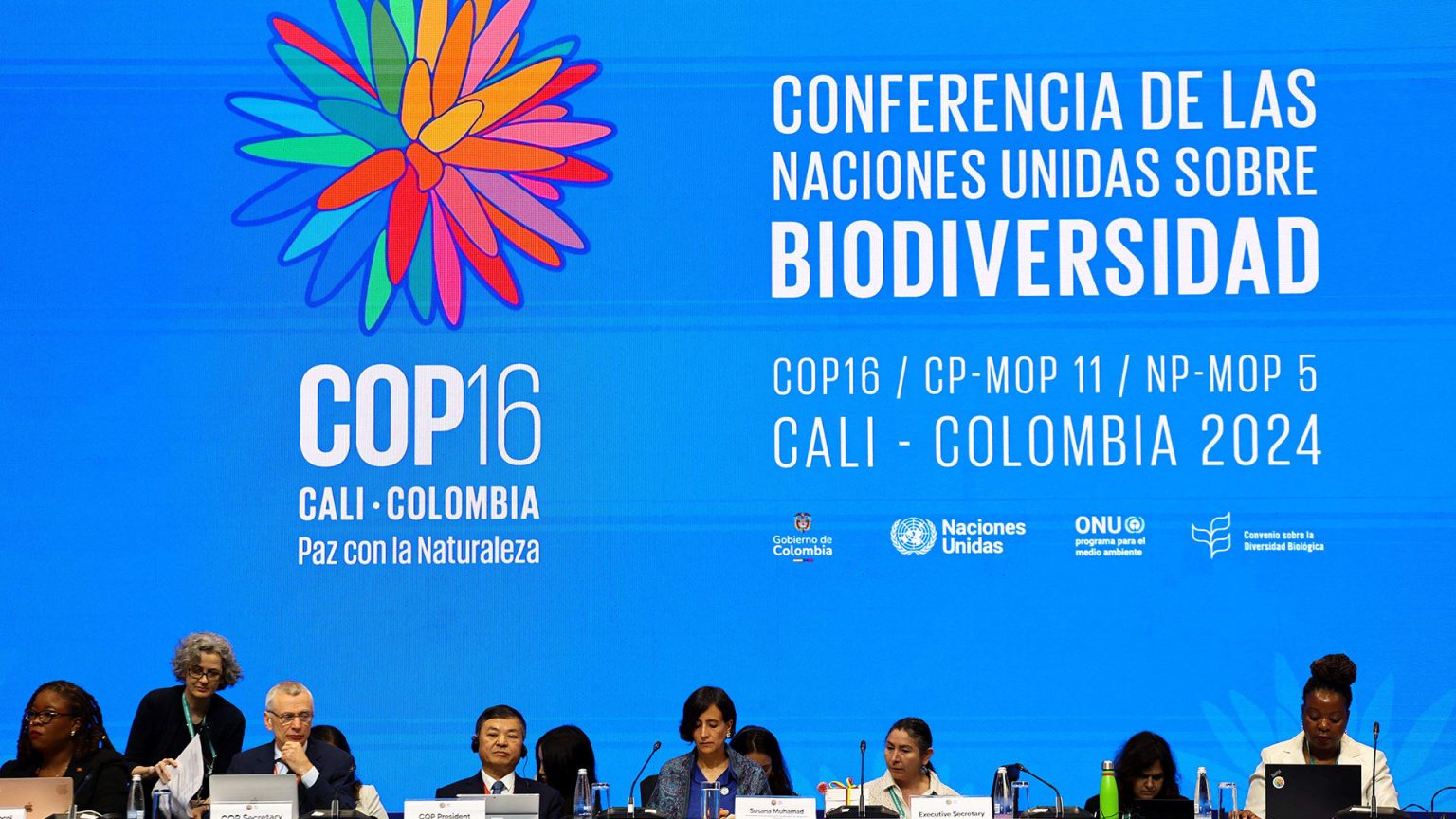 COP16 Advances Indigenous Inclusion in Conservation Decisions, Sets ...