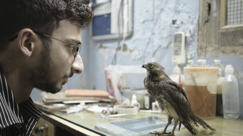 Best Indian Documentaries You Must Watch