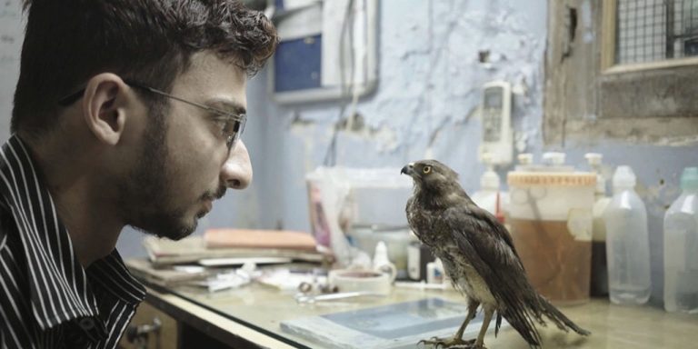 Best Indian Documentaries You Must Watch